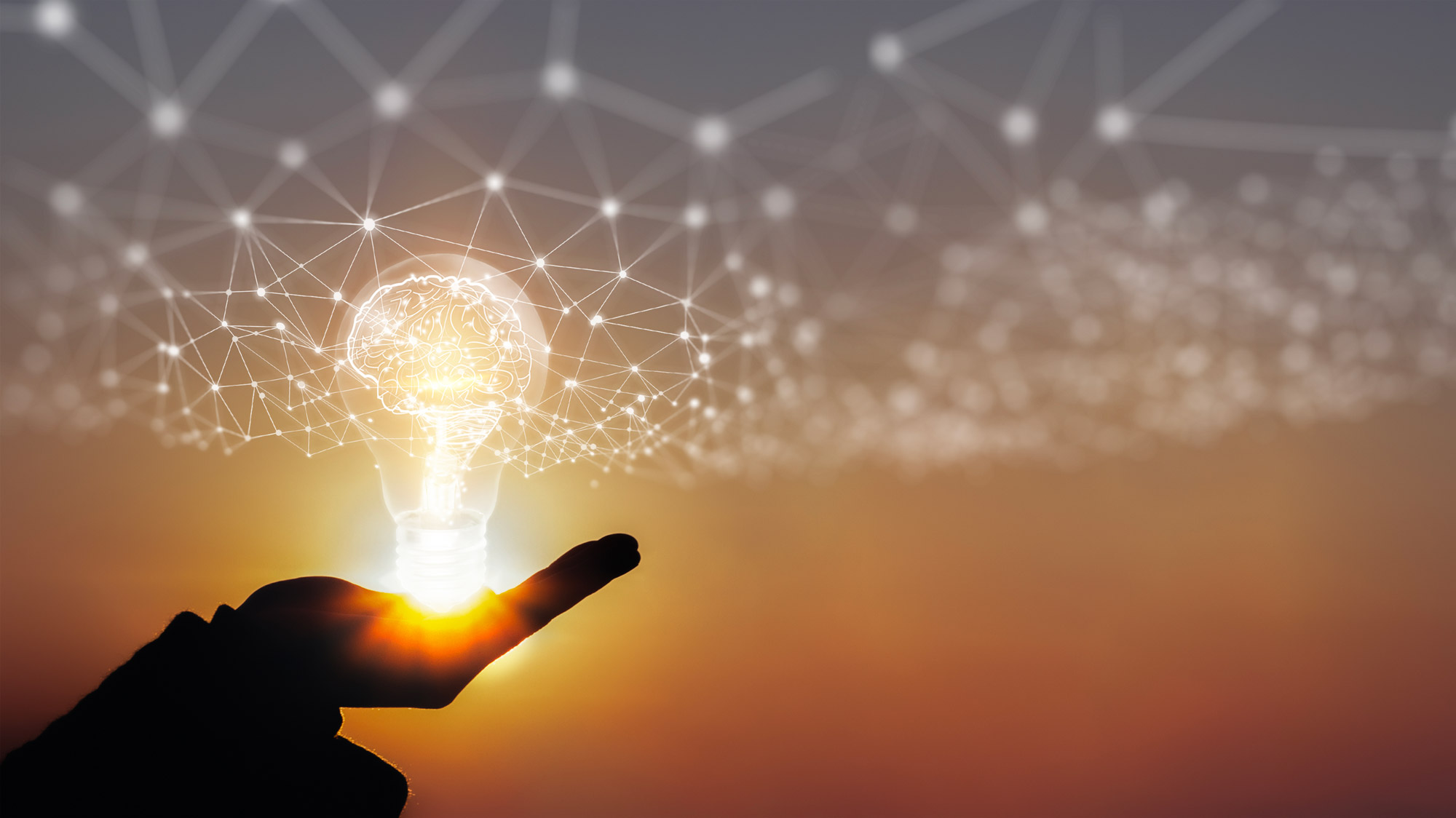 Post Campaign Analysis | Beintoo - Data Driven Company